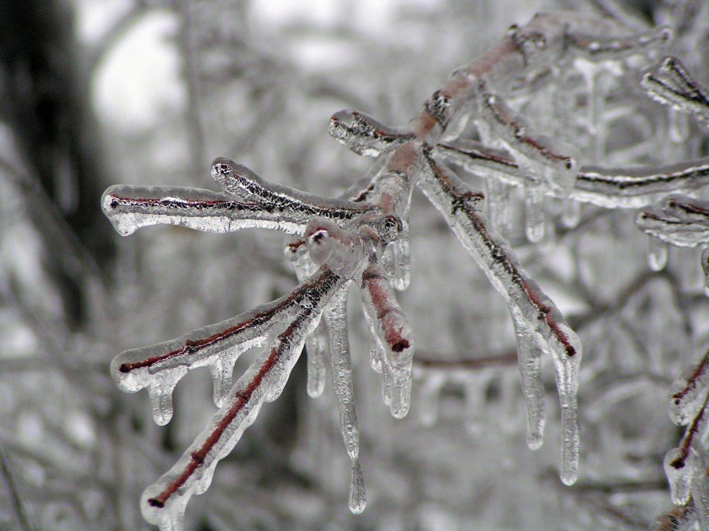 30 Amazing Ice Storm Photography