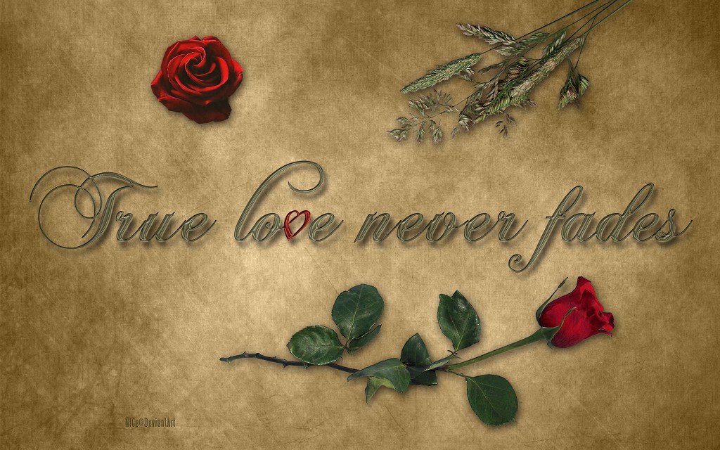 50 Best True Love Images And Pictures