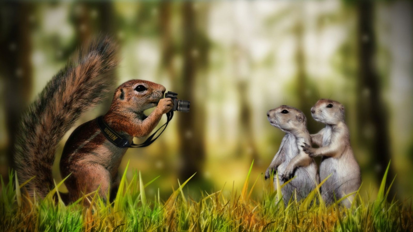 100 Best Funny Pictures And Images