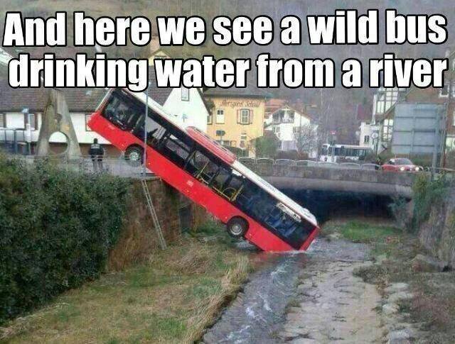 100 Best Funny Pictures And Images