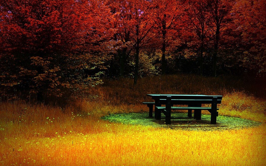 50 Best Romantic Places Pictures And Wallpapers