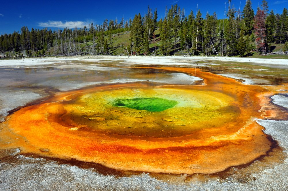 Must Visit Yellowstone National Park Once In Lifetime