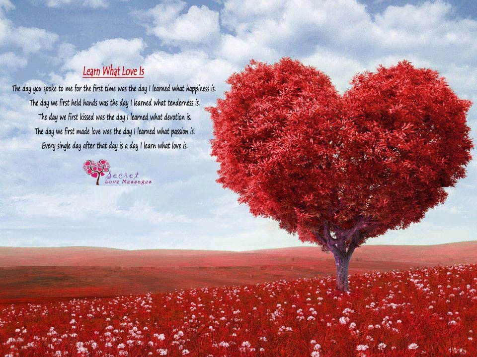 30 Romantic Poems About Love