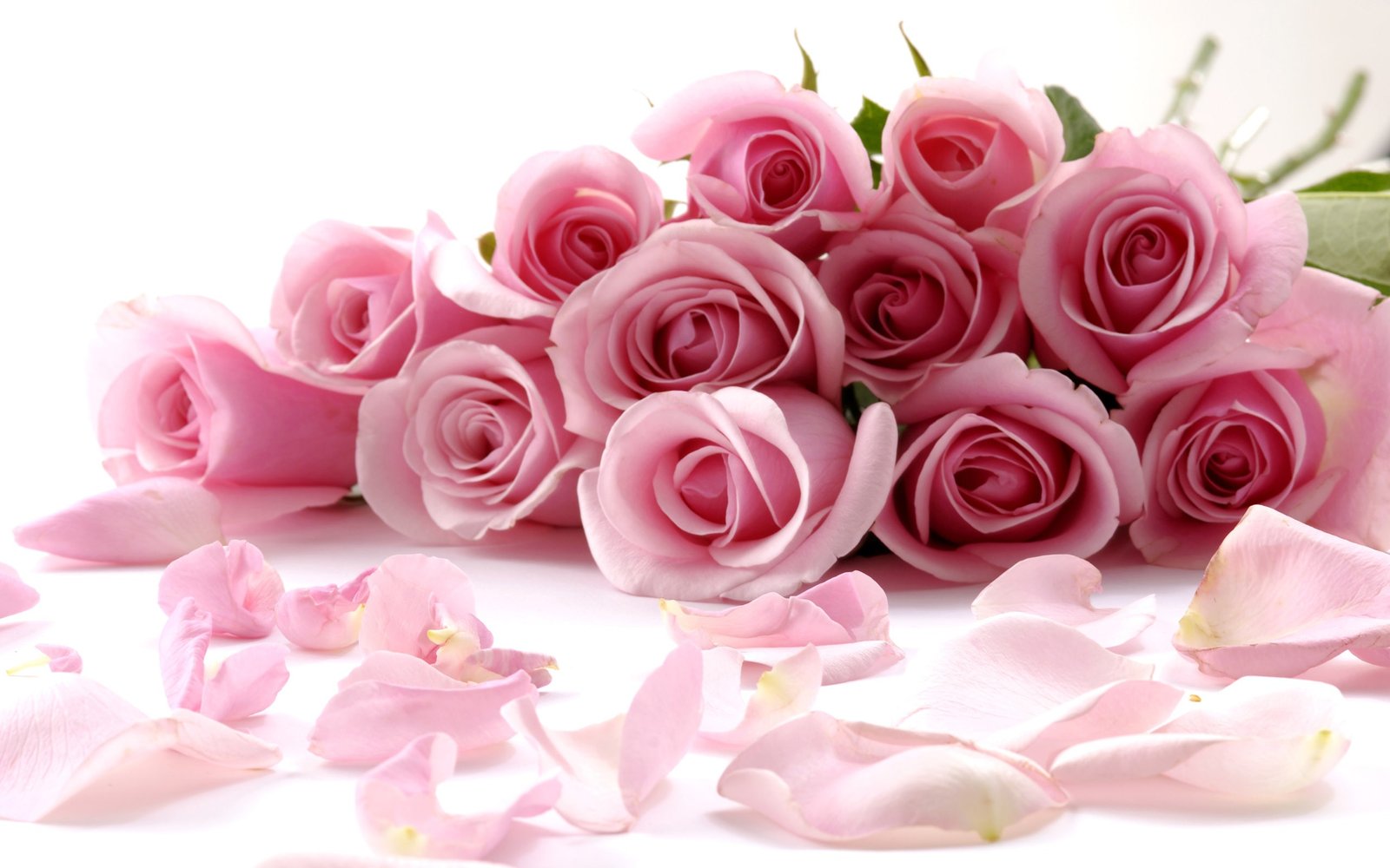 25 Best Mothers Day Flowers Ideas 25 Best Mothers Day Flowers Ideas