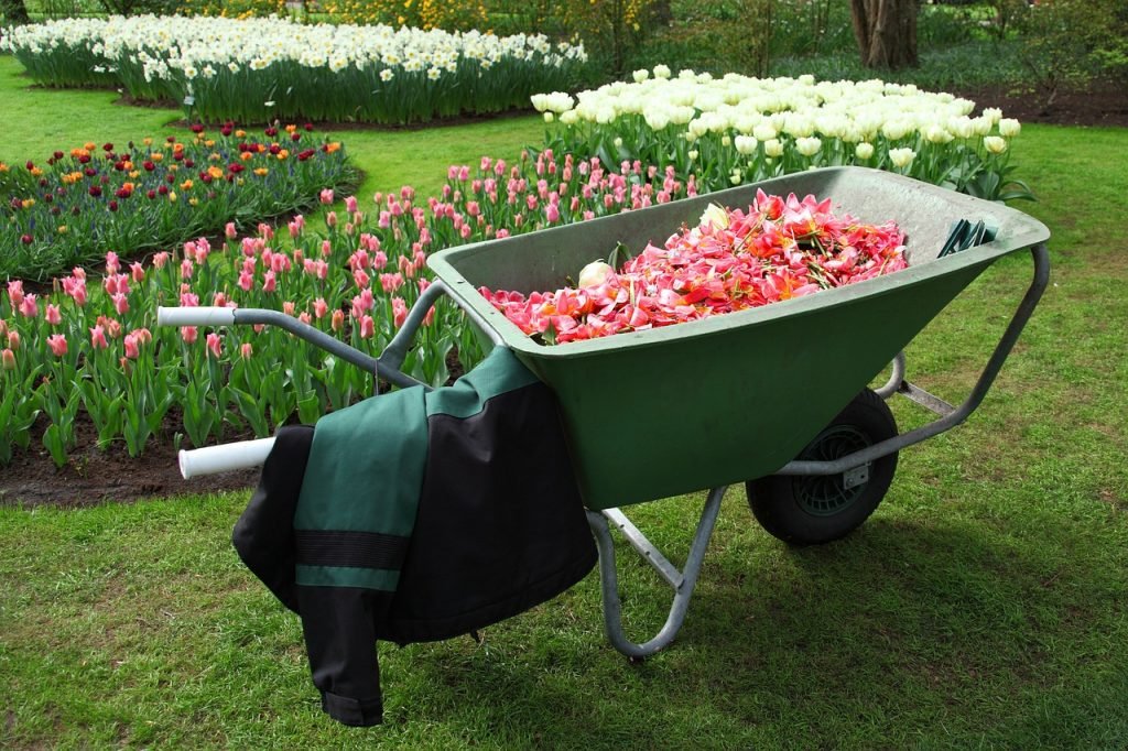 Tips and Guide to Make your Garden Clean