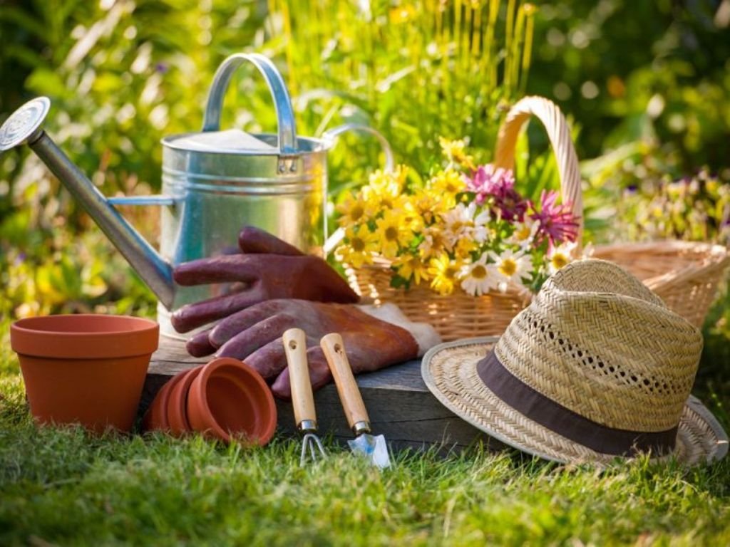5 Satisfying Hobbies You Might Like to Get Into
