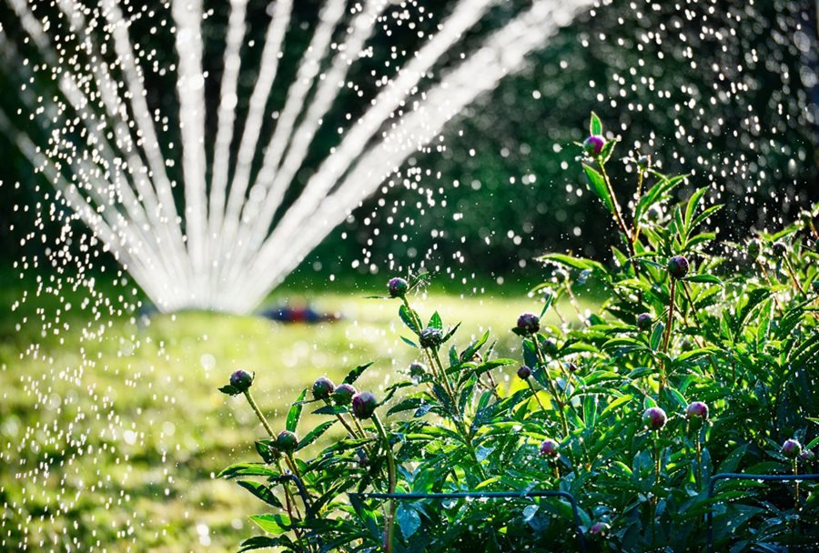 A Splash of Inspiration - How to Choose a Sprinkler System
