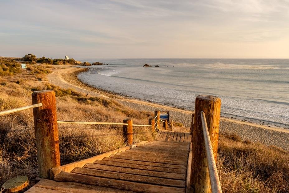 Road Trip USA Dog Friendly Destinations Your Pet Will Love Road Trip USA Dog Friendly Destinations Your Pet Will Love