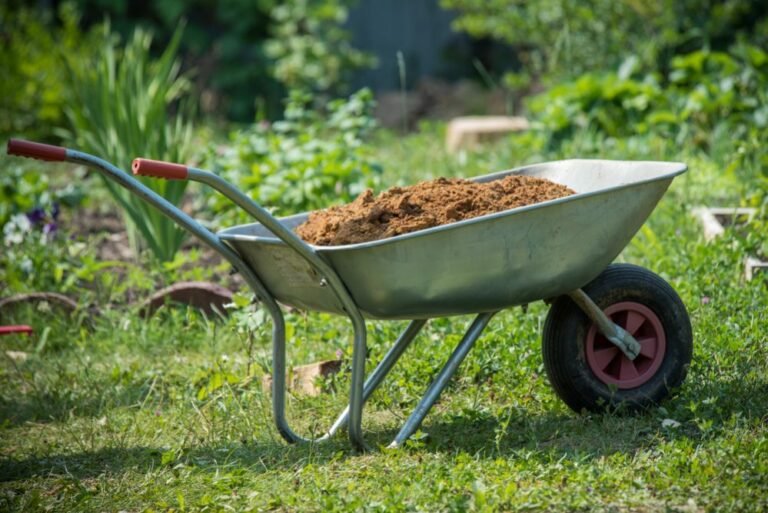 Things to Remember When Buying a Motorized Wheel Barrow