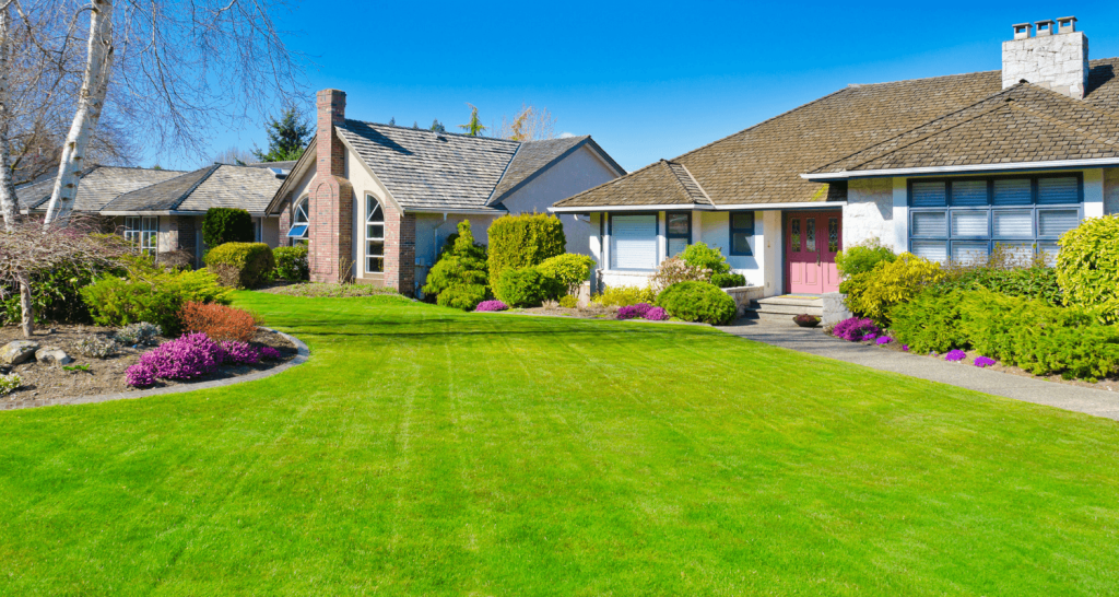 Transform a Worn-out Lawn with Renovation Services