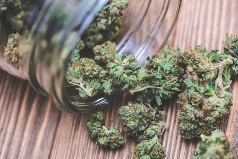Things to Know About Weed: 5 Surprising Medical Marijuana Facts