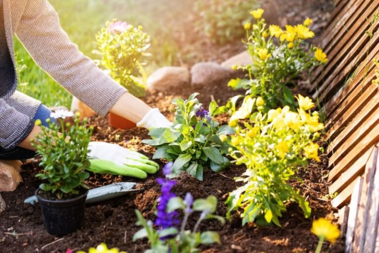 Tips and Tricks to Achieve Pro Gardening Skills